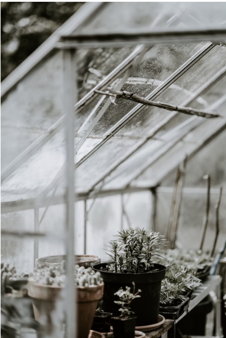 10 Ways to Repurpose Your Old Windows - Window World of Jersey Coast
